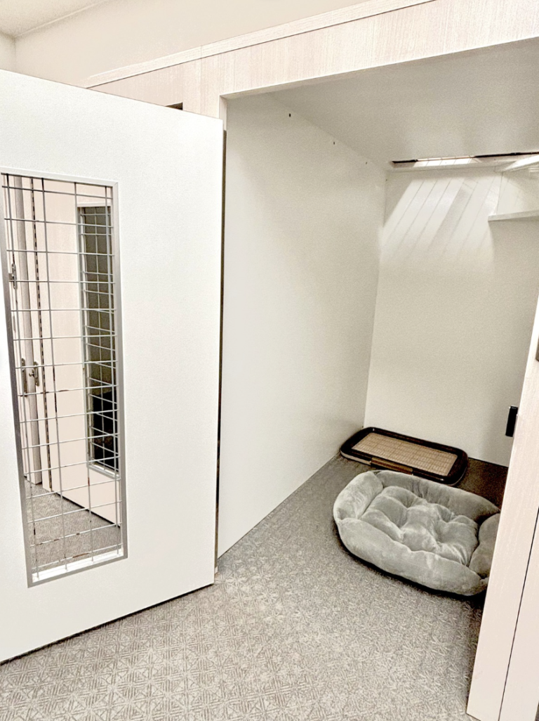 evergreen pet & cafe restaurant | エヴァーグリーンペット & カフェレストラン