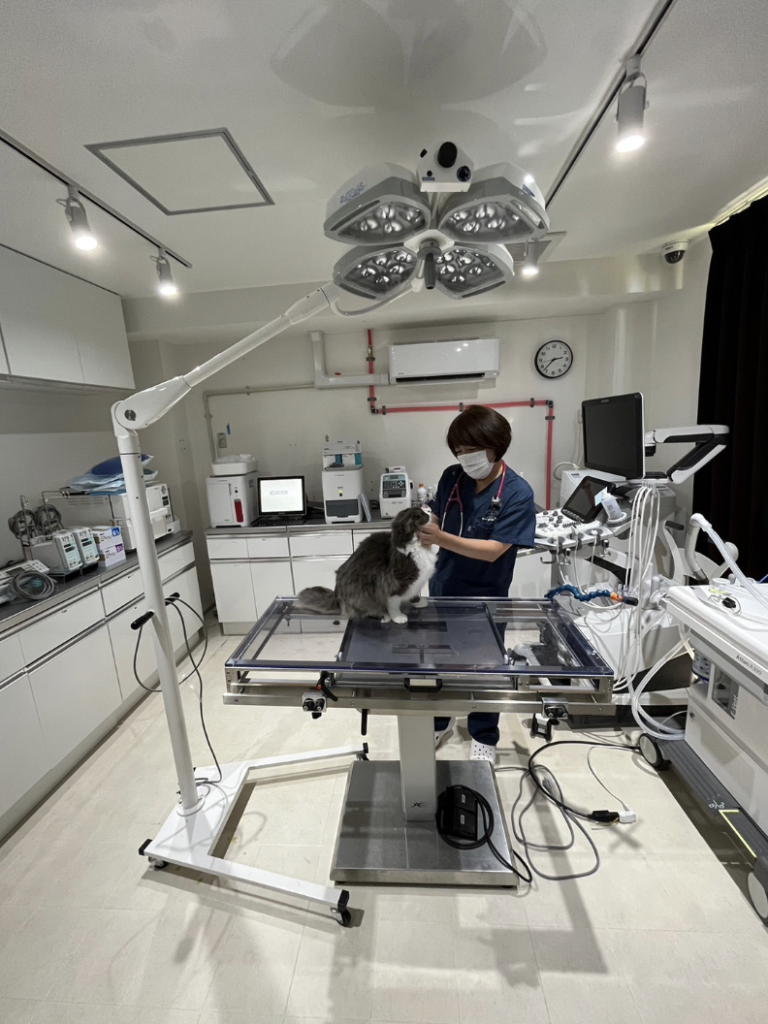 evergreen pet & cafe restaurant | エヴァーグリーンペット & カフェレストラン